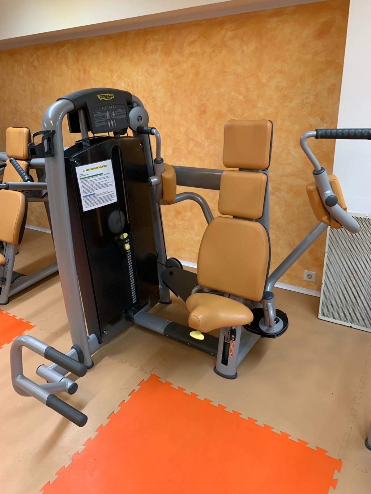 PRODAM Technogym Selection Line fitnes naprave - ODLIČNO OHRANJENE