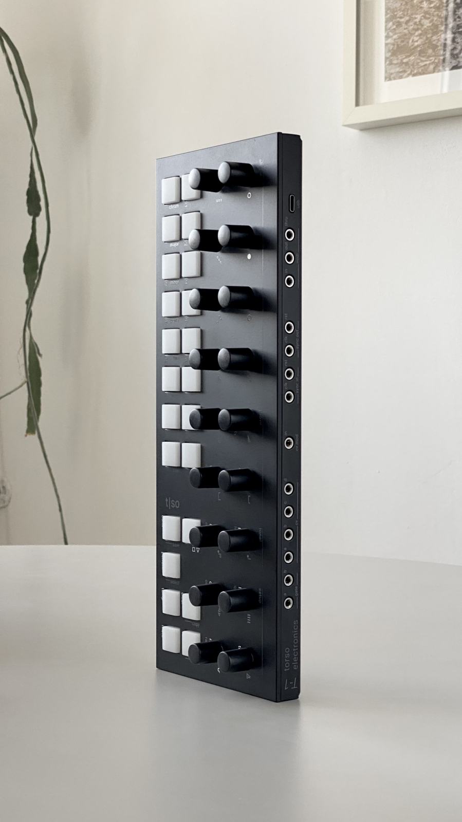 Torso T1 algorithmic sequencer + torbica