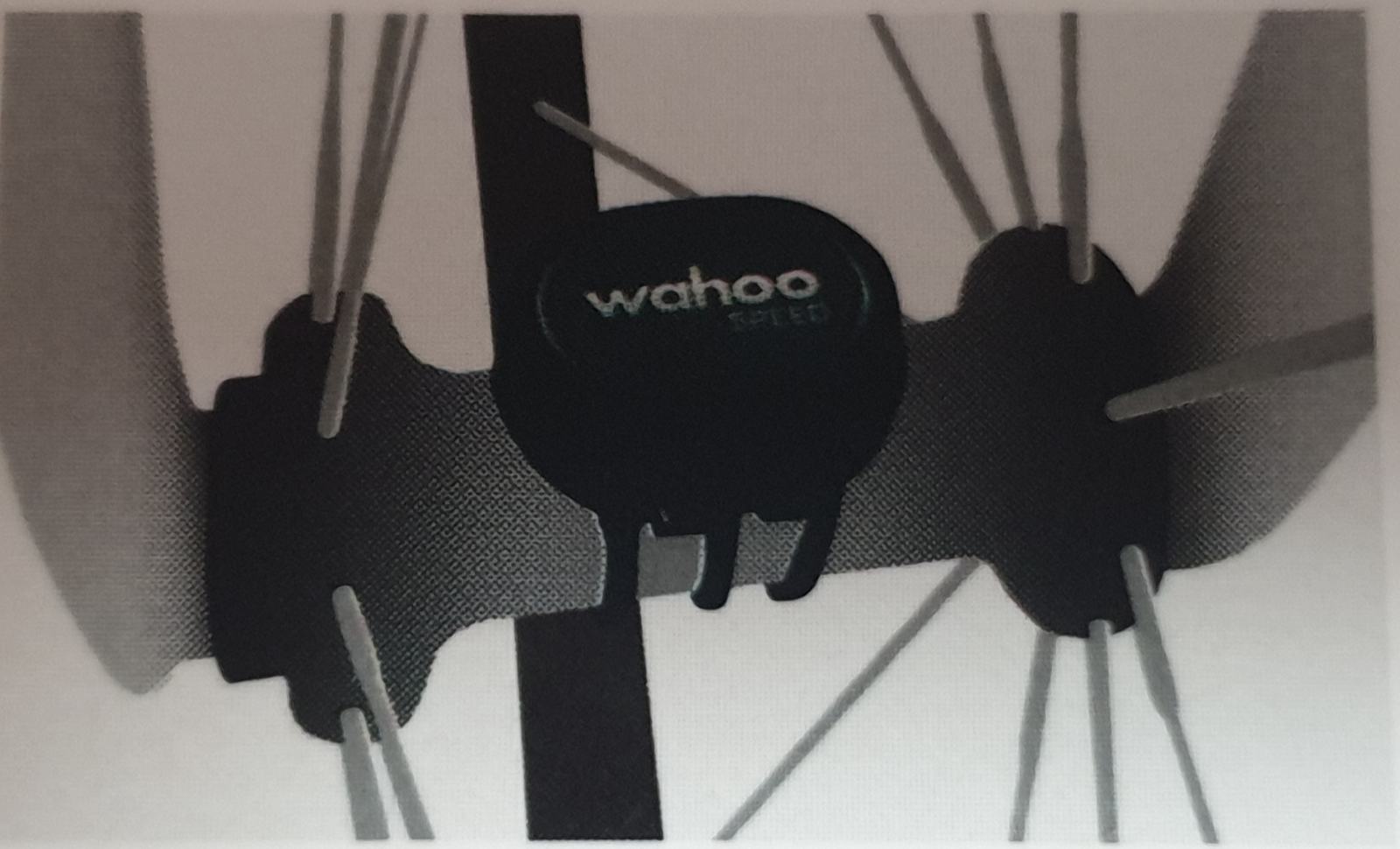Wahoo RPM Speed Sensor - merilec hitrosti