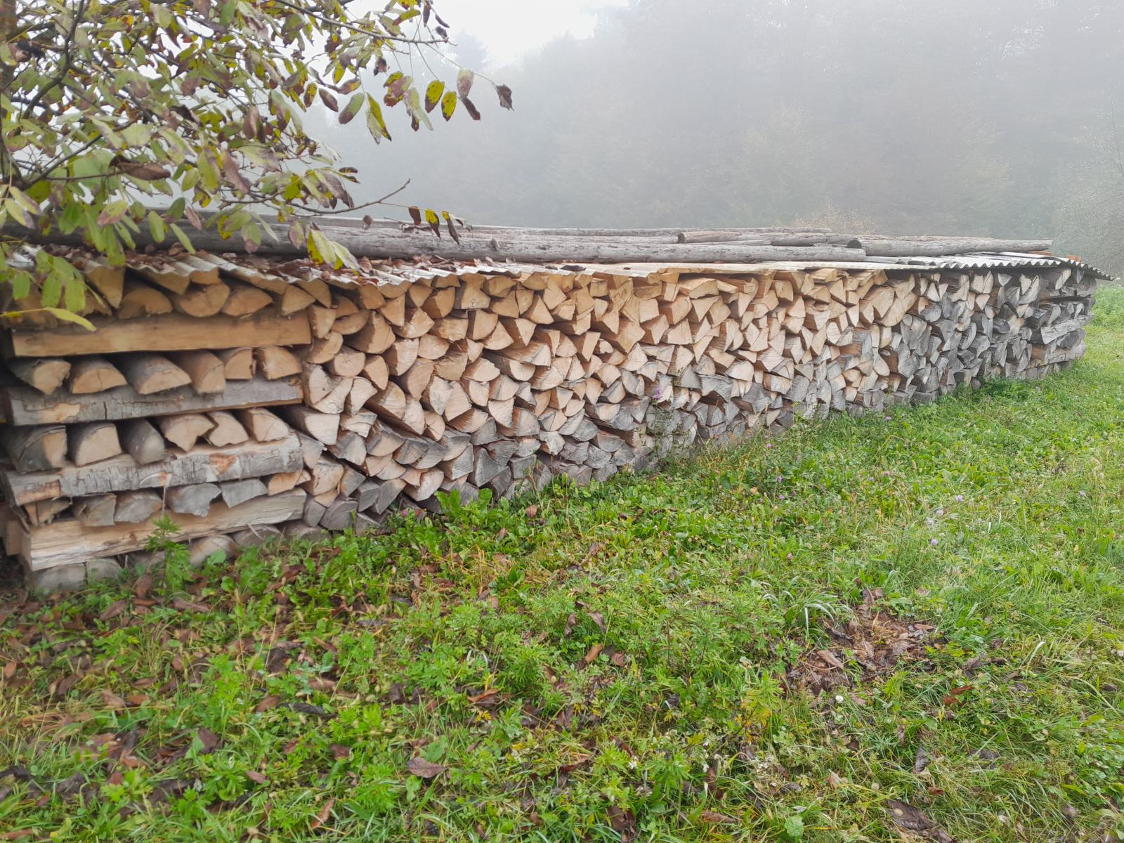 10 km iz Novega mesta