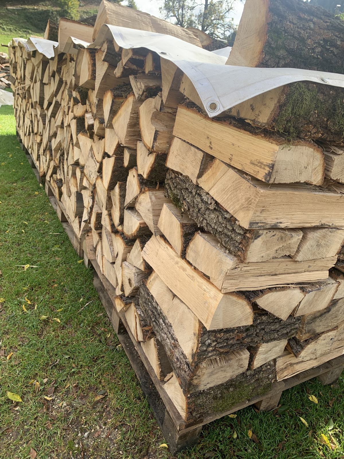 Hrastova drva klaftra