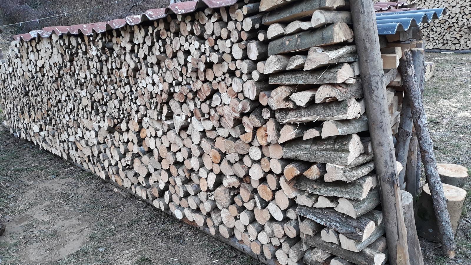 Javnik 5, 2361 Ožbalt