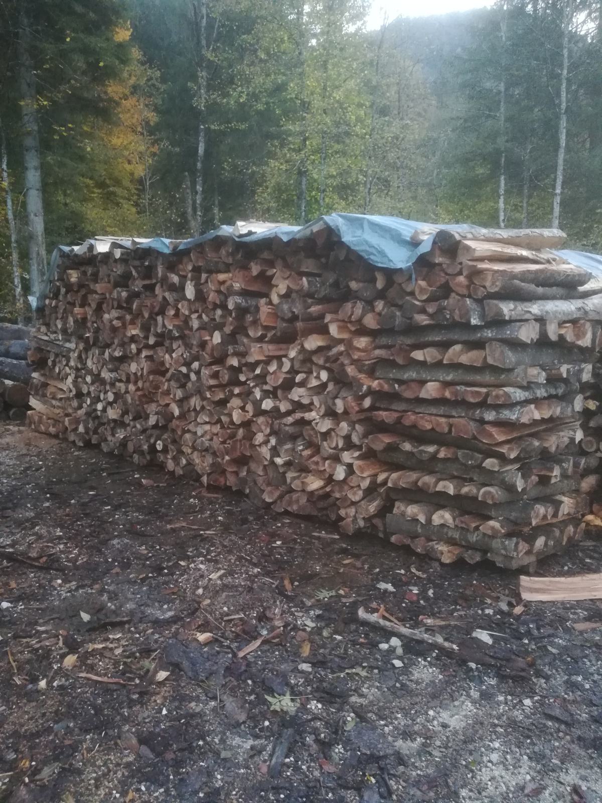 Prodam bukova drva (13 m3)