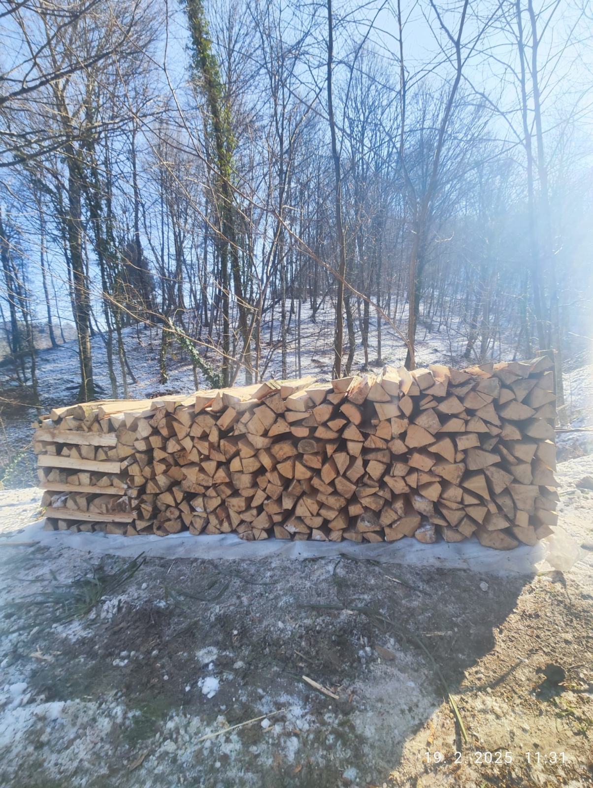 Prodam bukova, gabrova in javorjeva drva