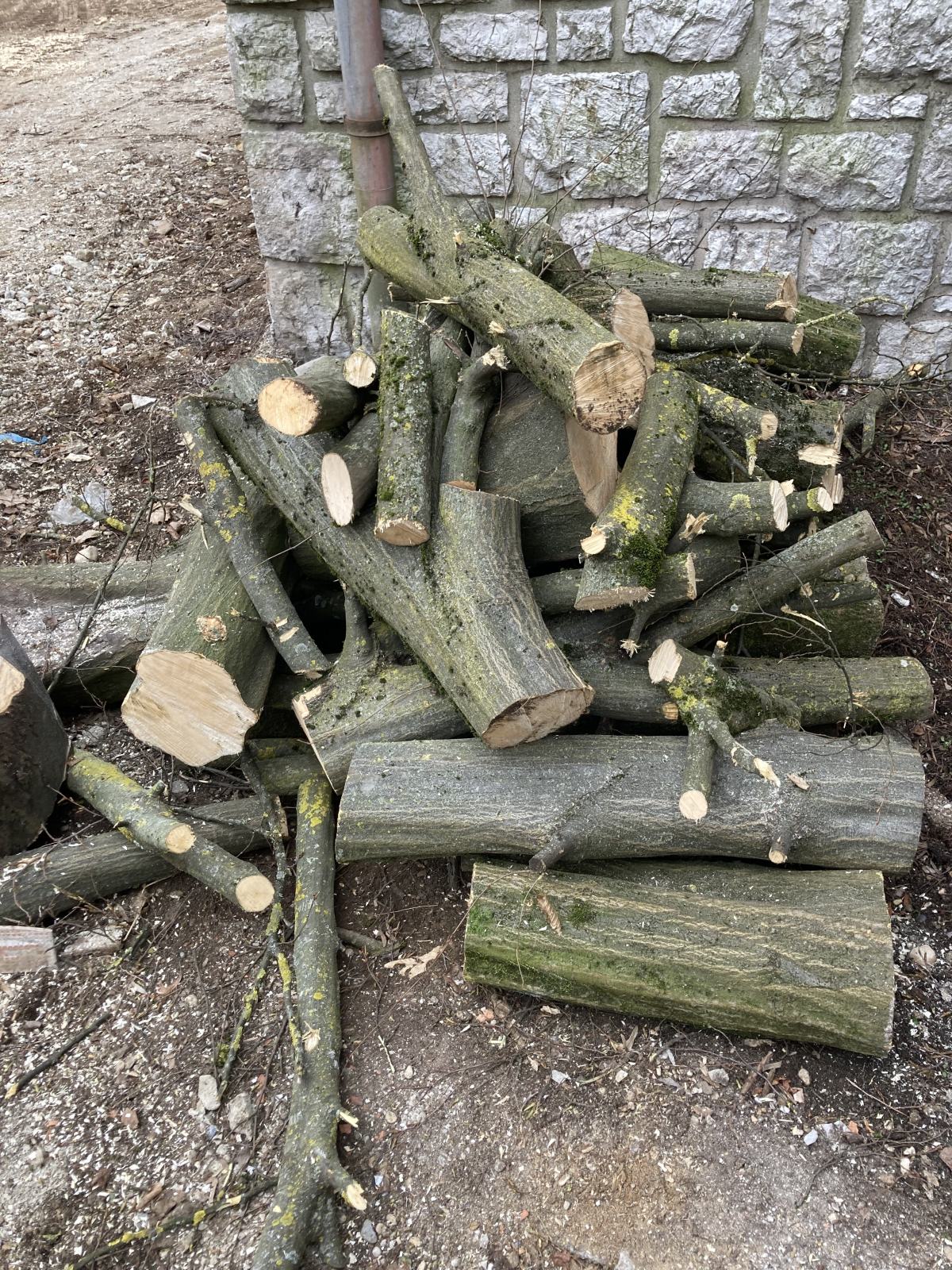 Svež les za kurjavo