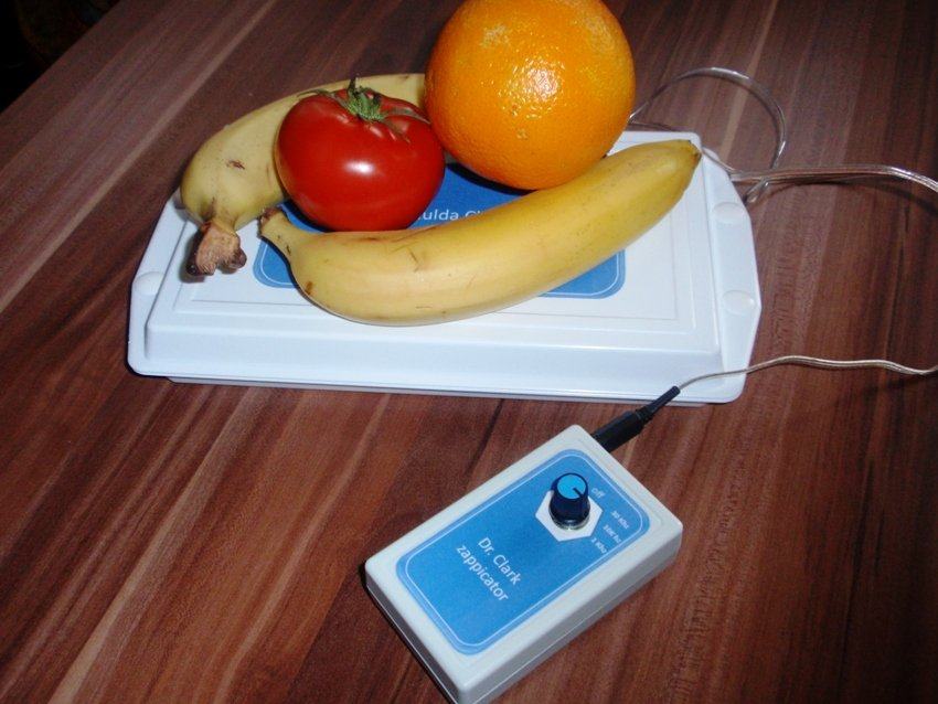 Zapper + food zappicator po načrtu dr. Hulda Clark