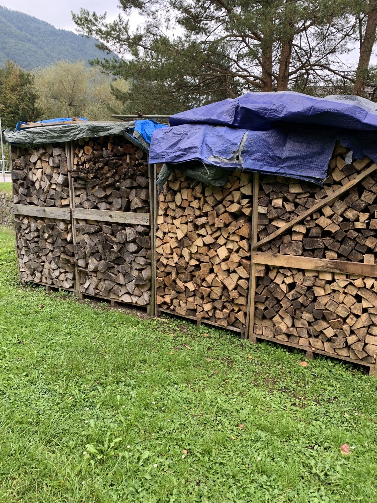 Prodam drva 1kom 200€