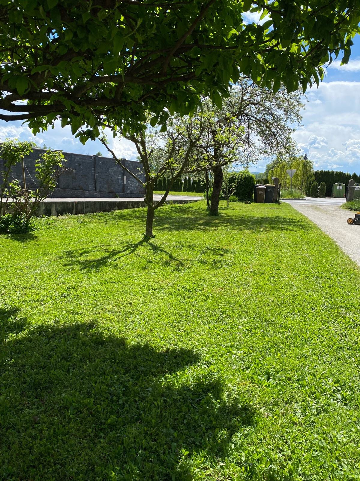 košnja trave in druge vrtnarske storitve