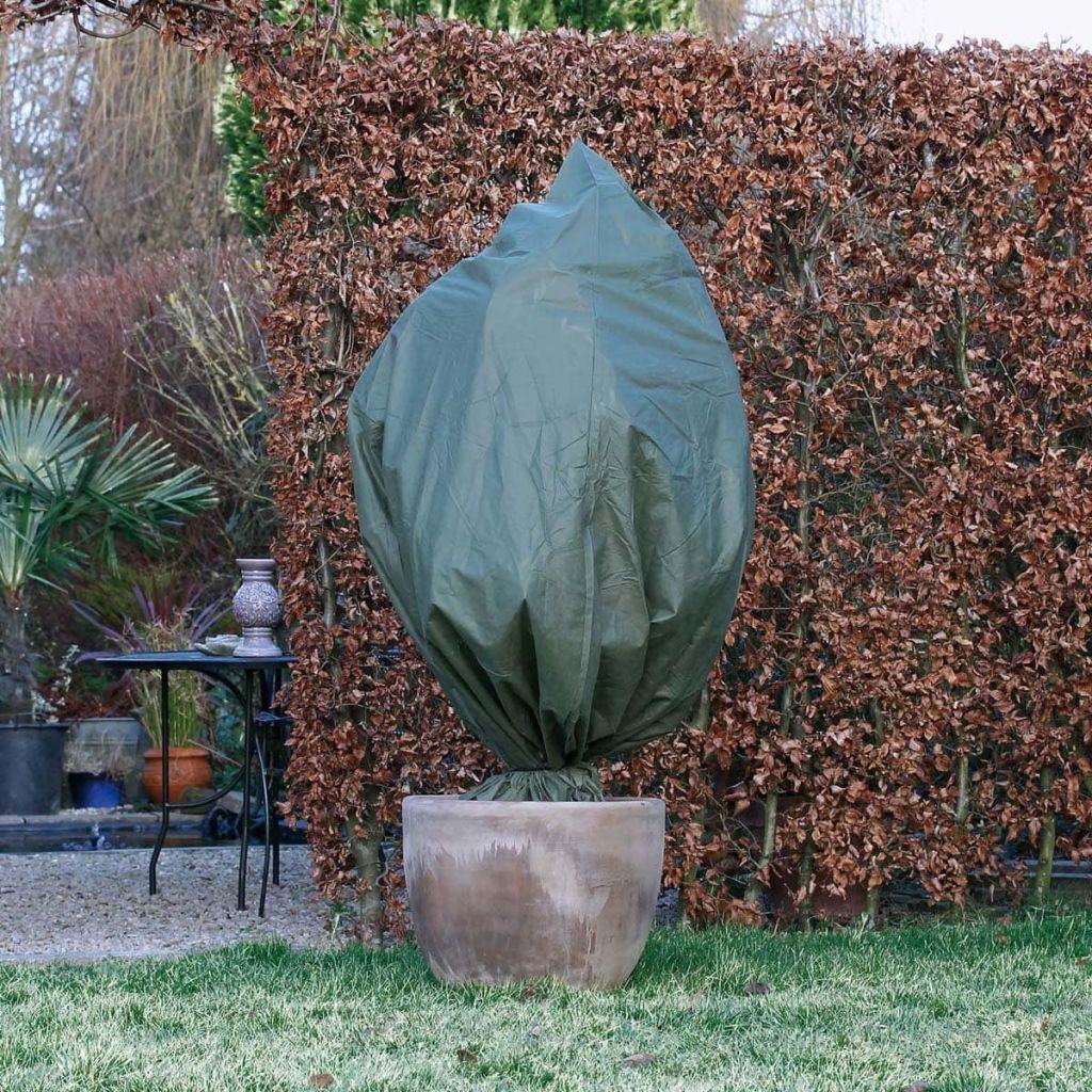 Nature Zimska koprena 70 g/m² zelena 2,5x3 m