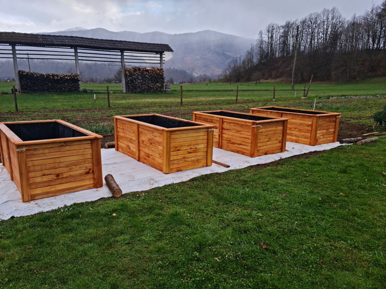 Visoke grede - Smreka