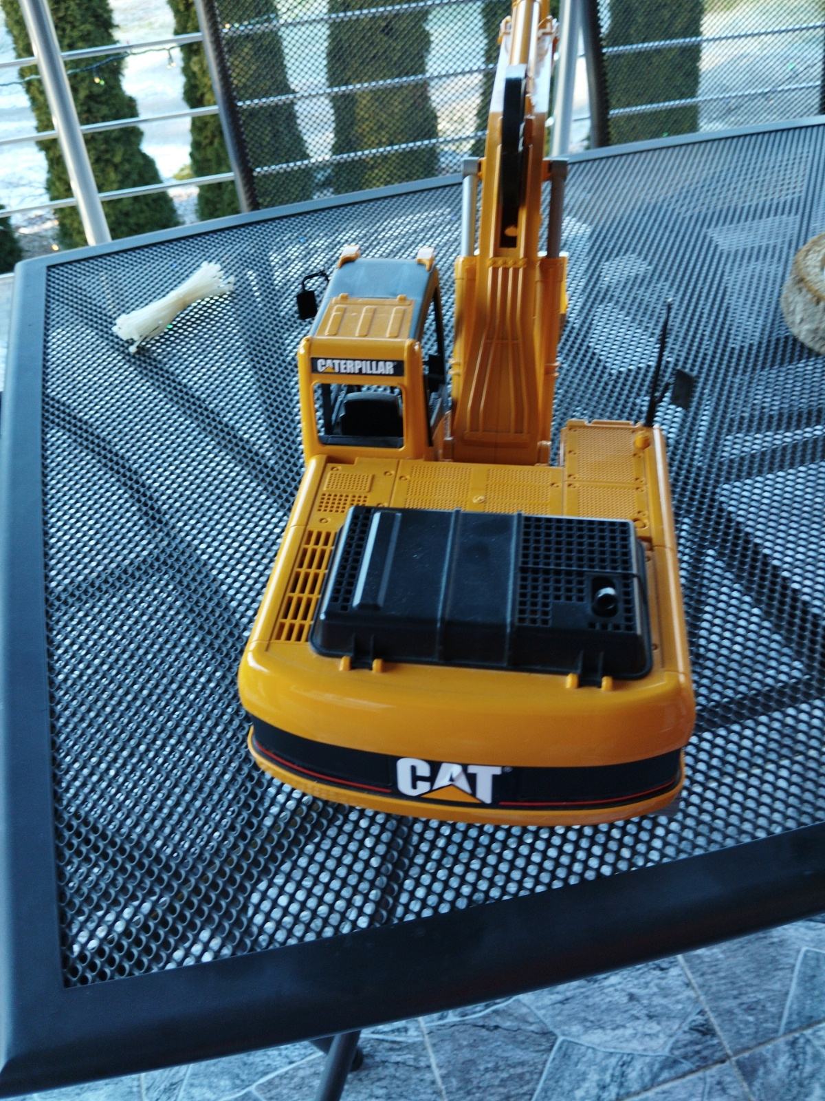 BAGER CAT