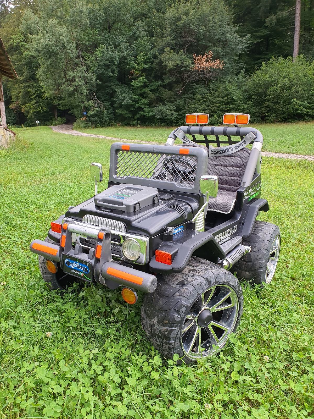 peg perego gaucho 24v