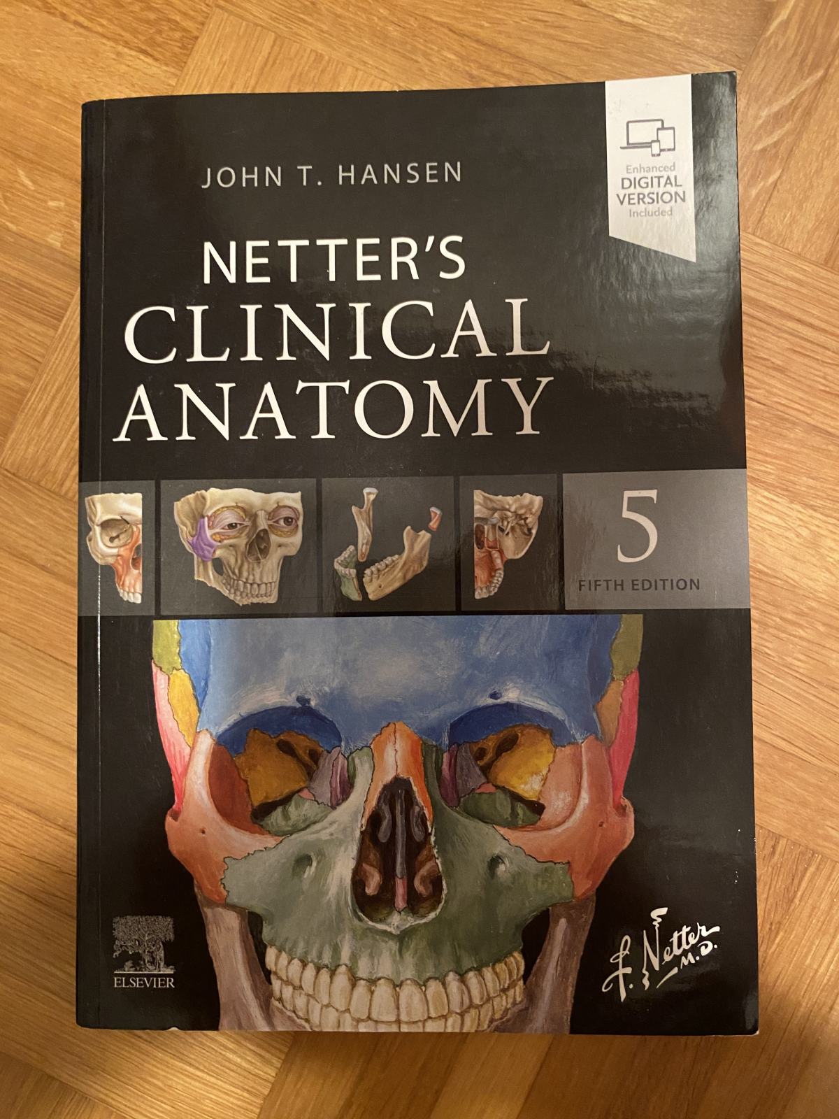Netters clinical anatomy