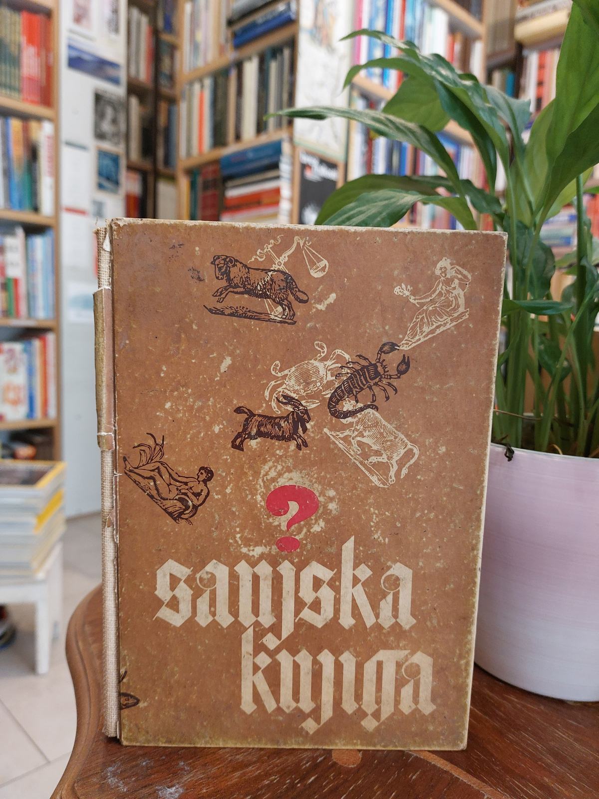 Sanjska knjiga