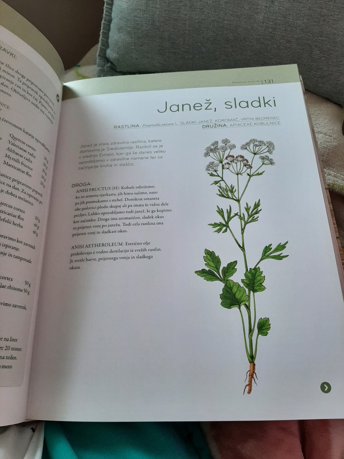 Zdravilne rastline na Slovenskem, Katja Galle Toplak