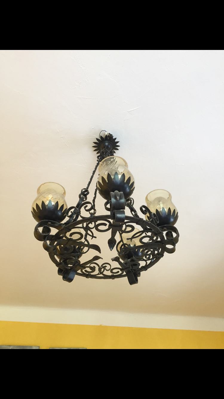 Lestenec star cca 50 let