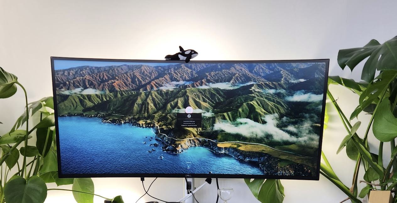 Dell UltraSharp U4021QW ultrawide 5k2k 40