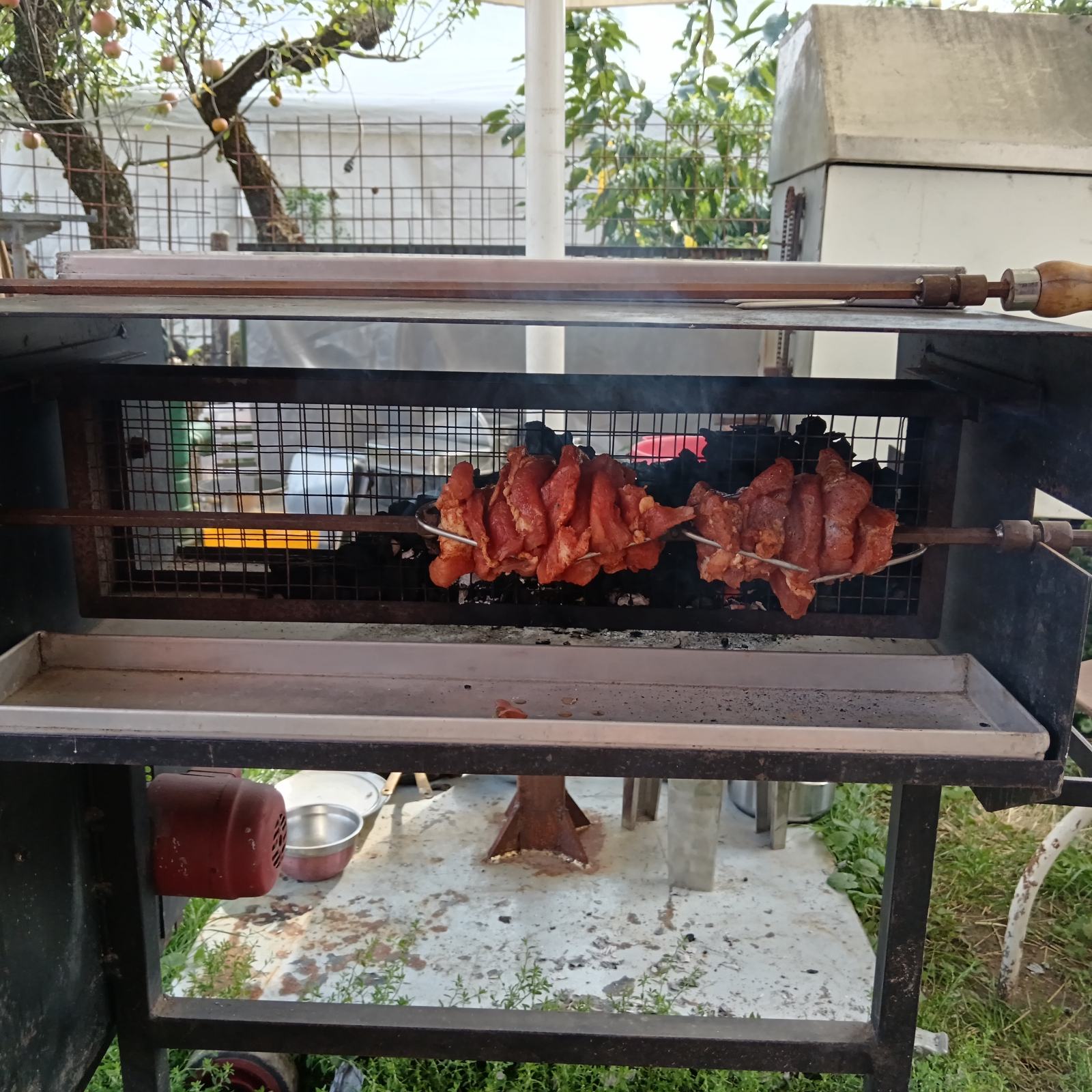 Žar