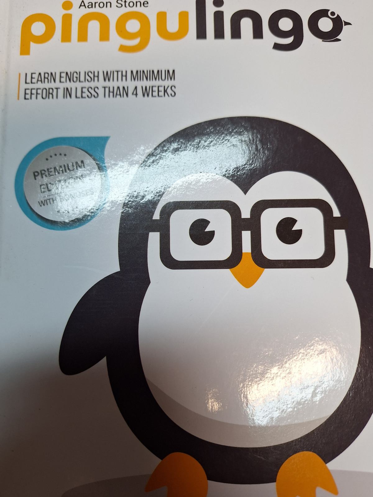 AARON STONE PINGULINGO