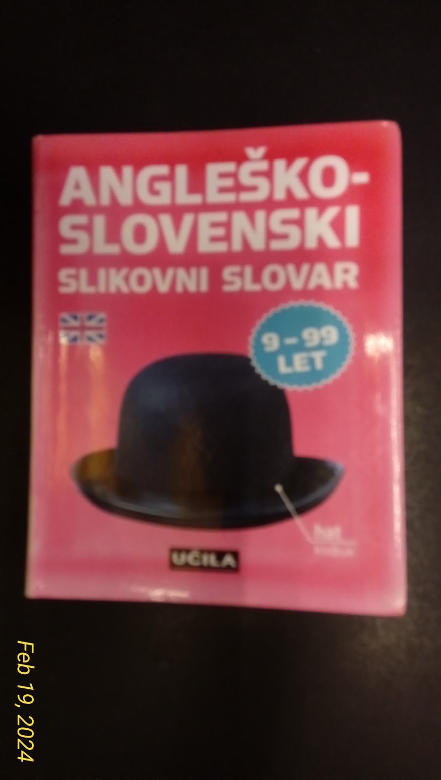 Anglesko Slovenski slovar