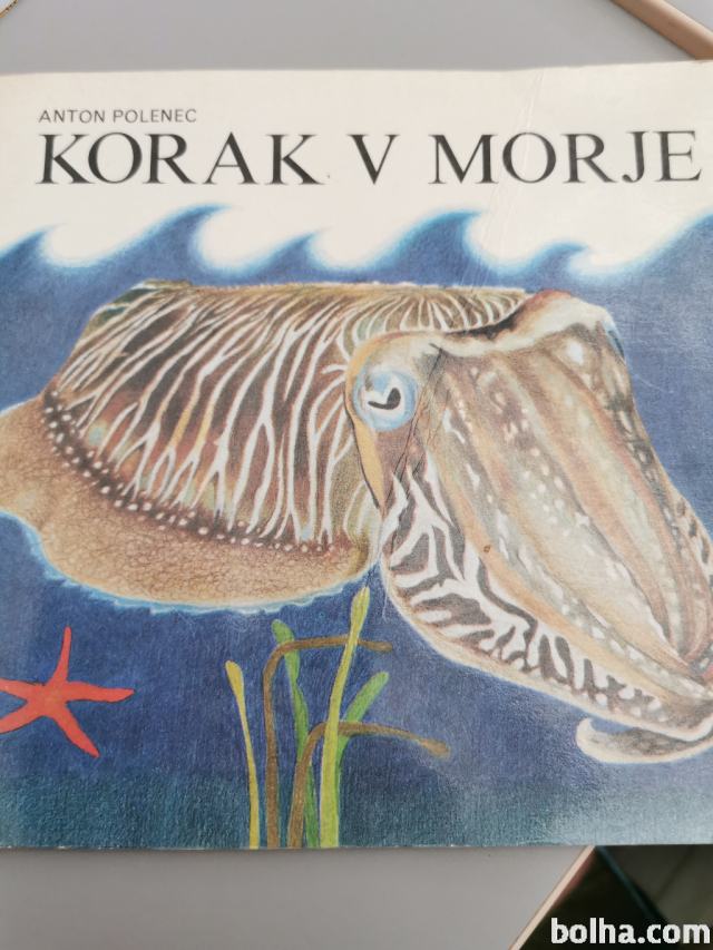 KORAK V MORJE - ANTON POLENEC