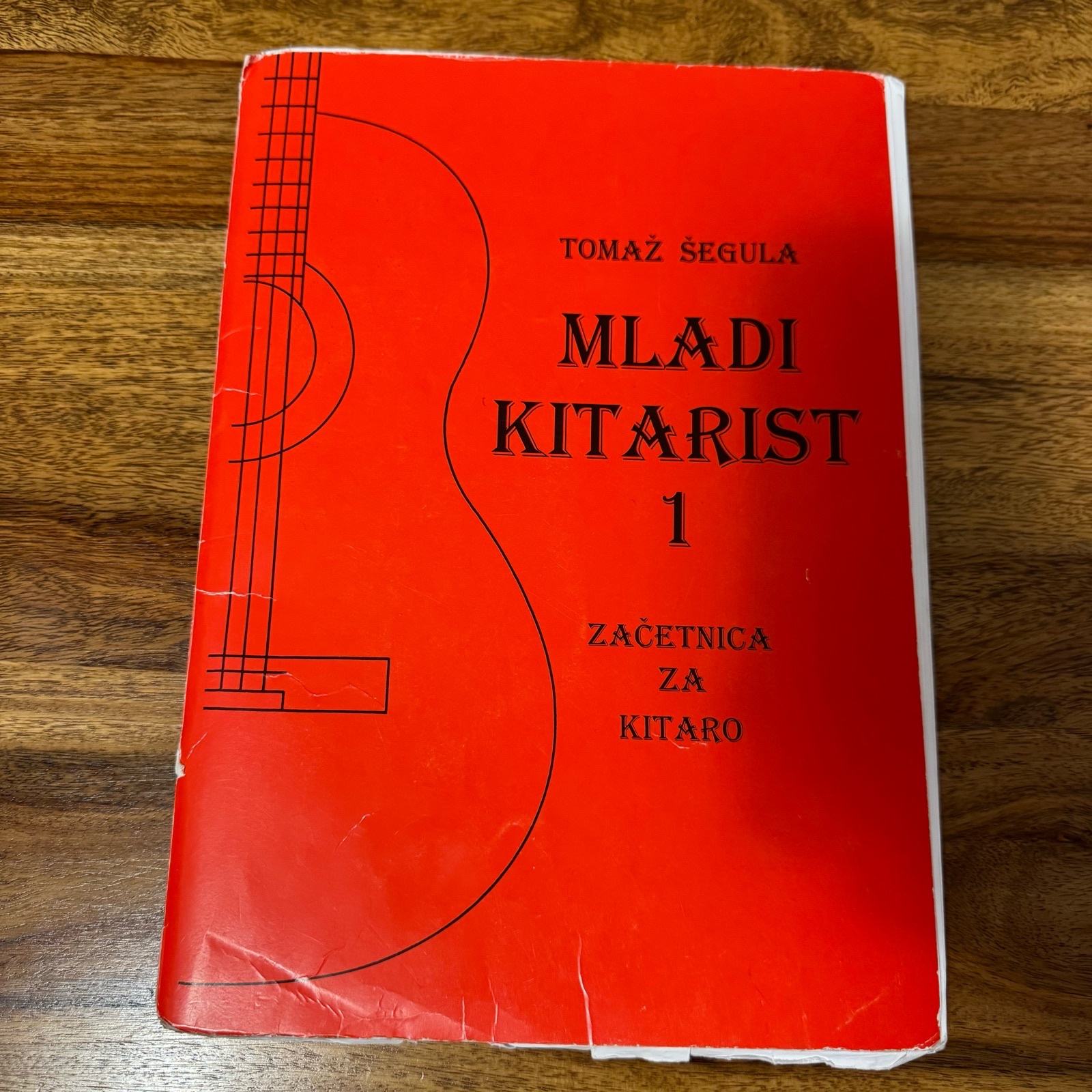 Mladi kitarist 1