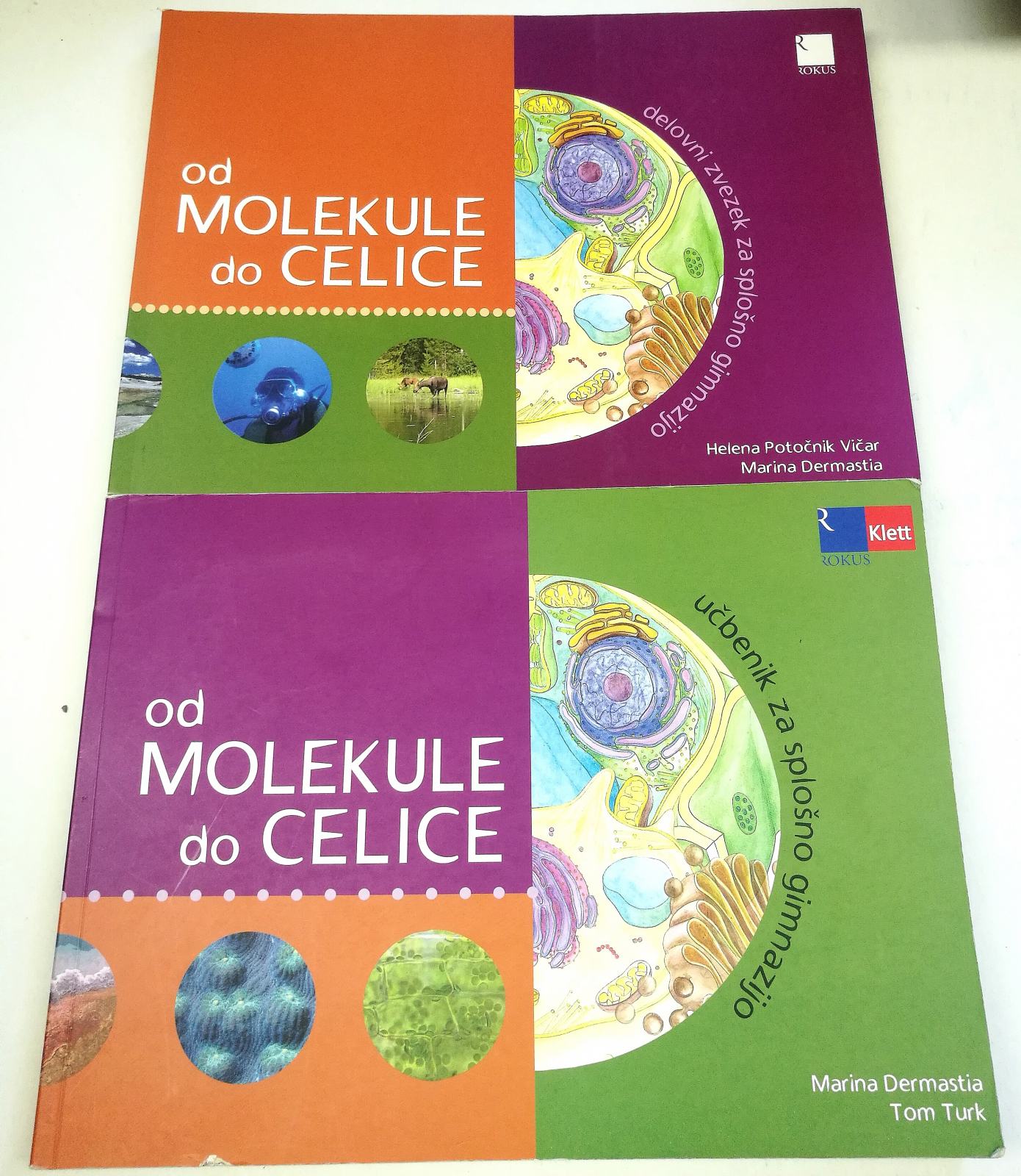 OD MOLEKULE DO CELICE