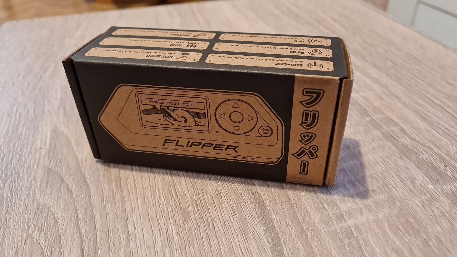 Flipper zero