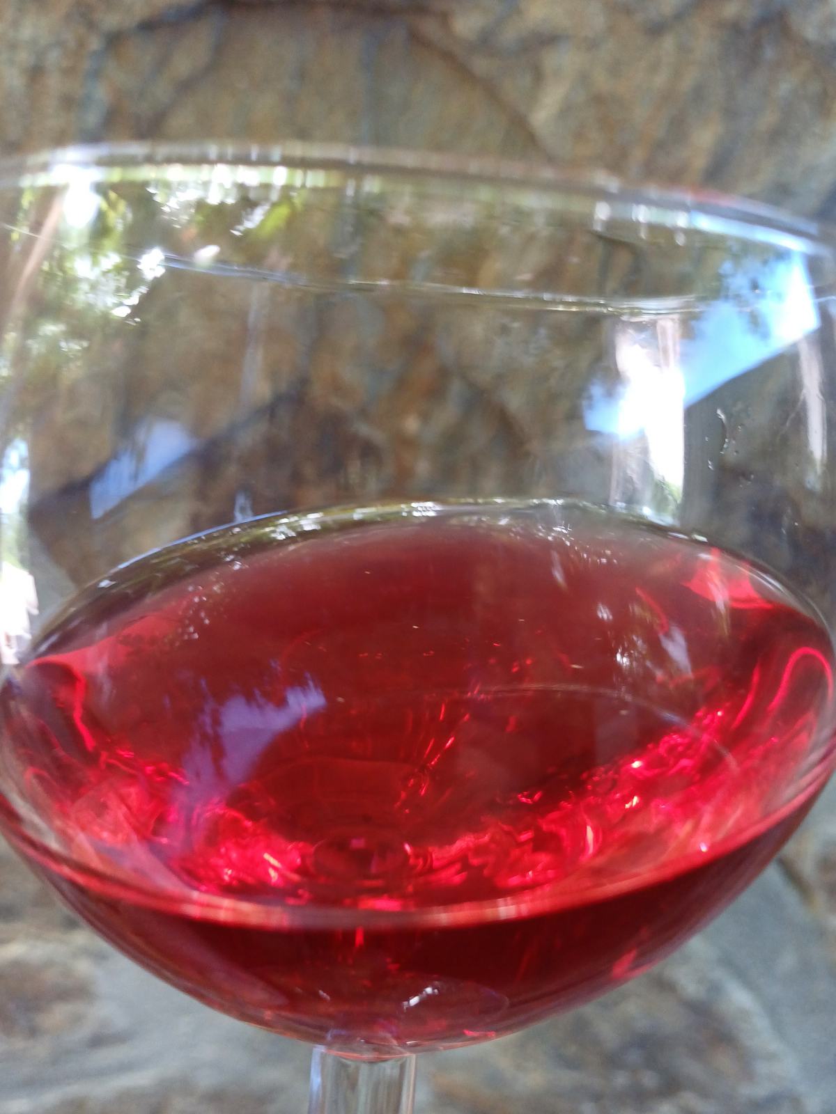 Cviček mošt mlado vino