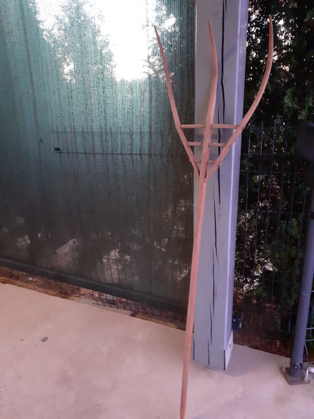 Vile lesene, nerabljene, samo še 1. kos