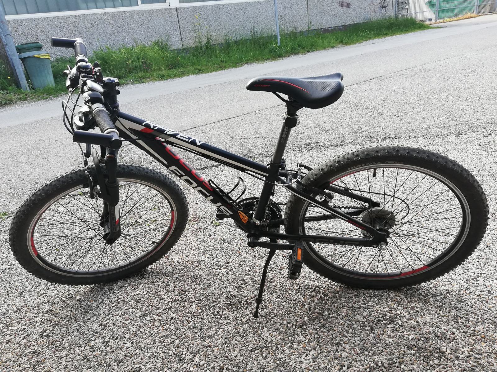 FOCUS ROOKIE RAVEN 24 col