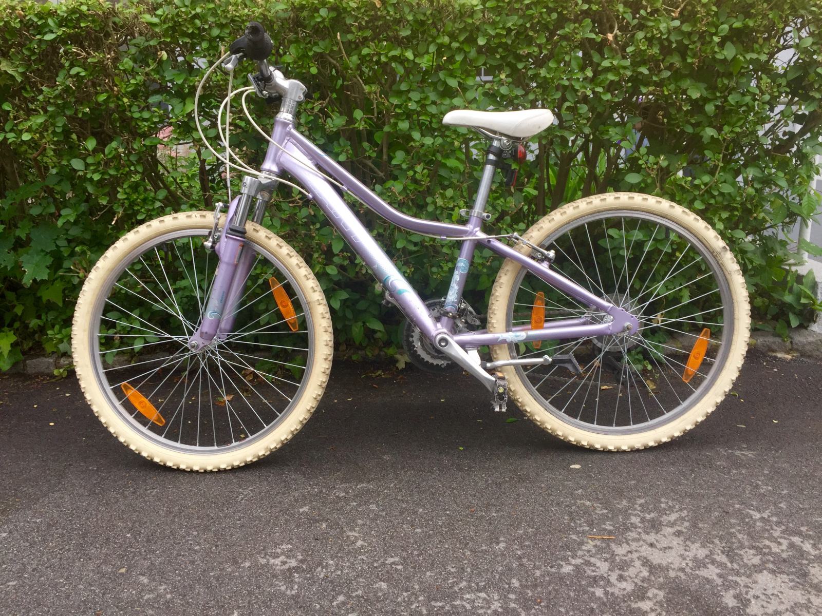GIANT AREVA 24 col