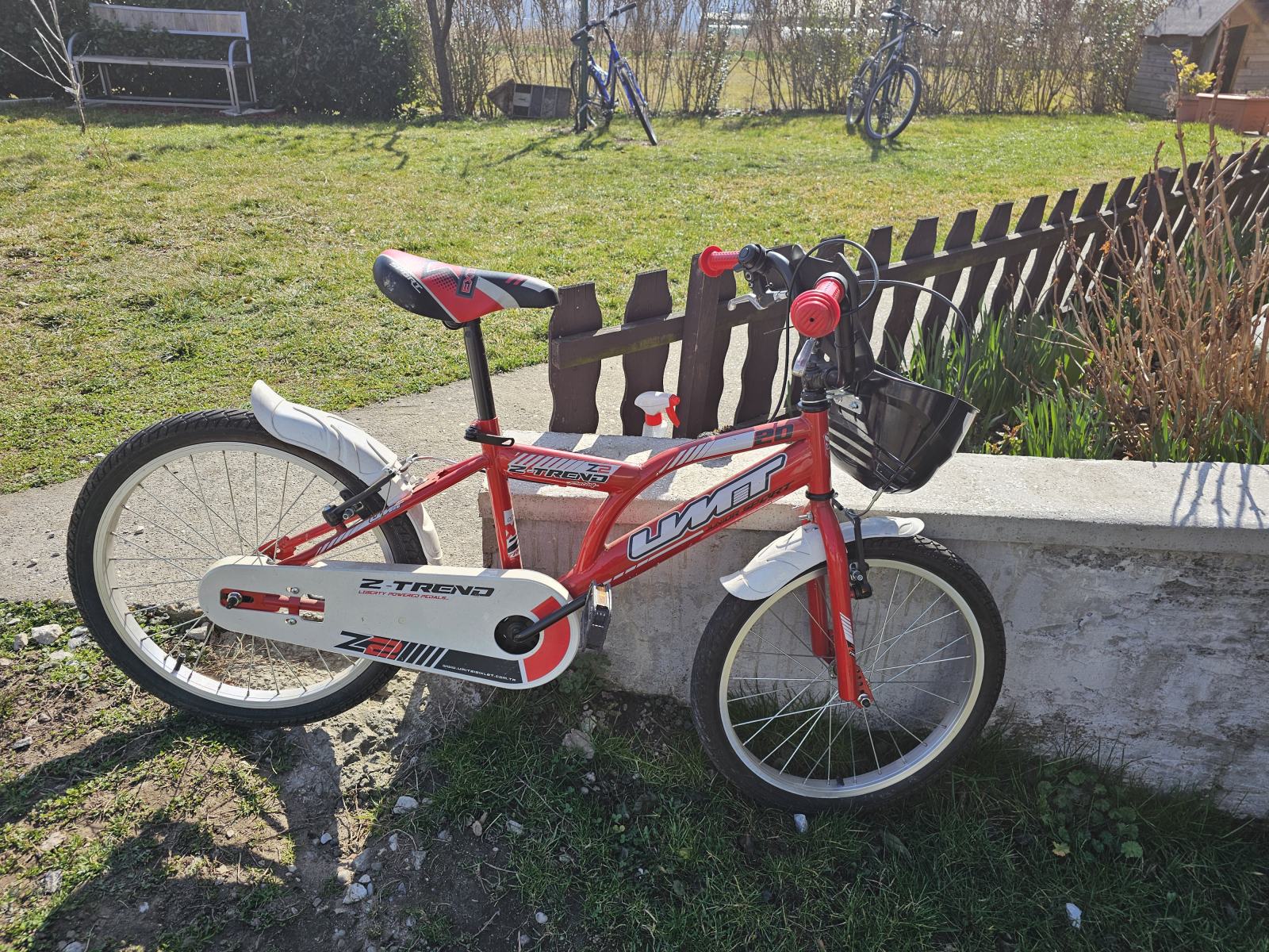 Otroško fantovsko kolo 20col