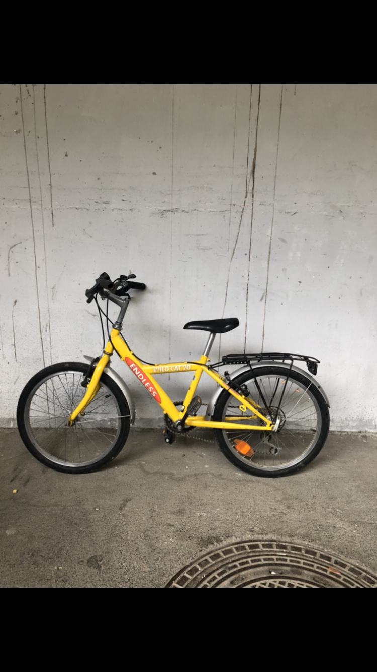 Otroško kolo Endless Wild Cat