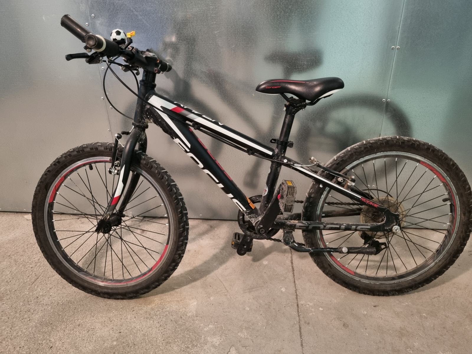 Otroško kolo Focus Raven Rookie 20 col
