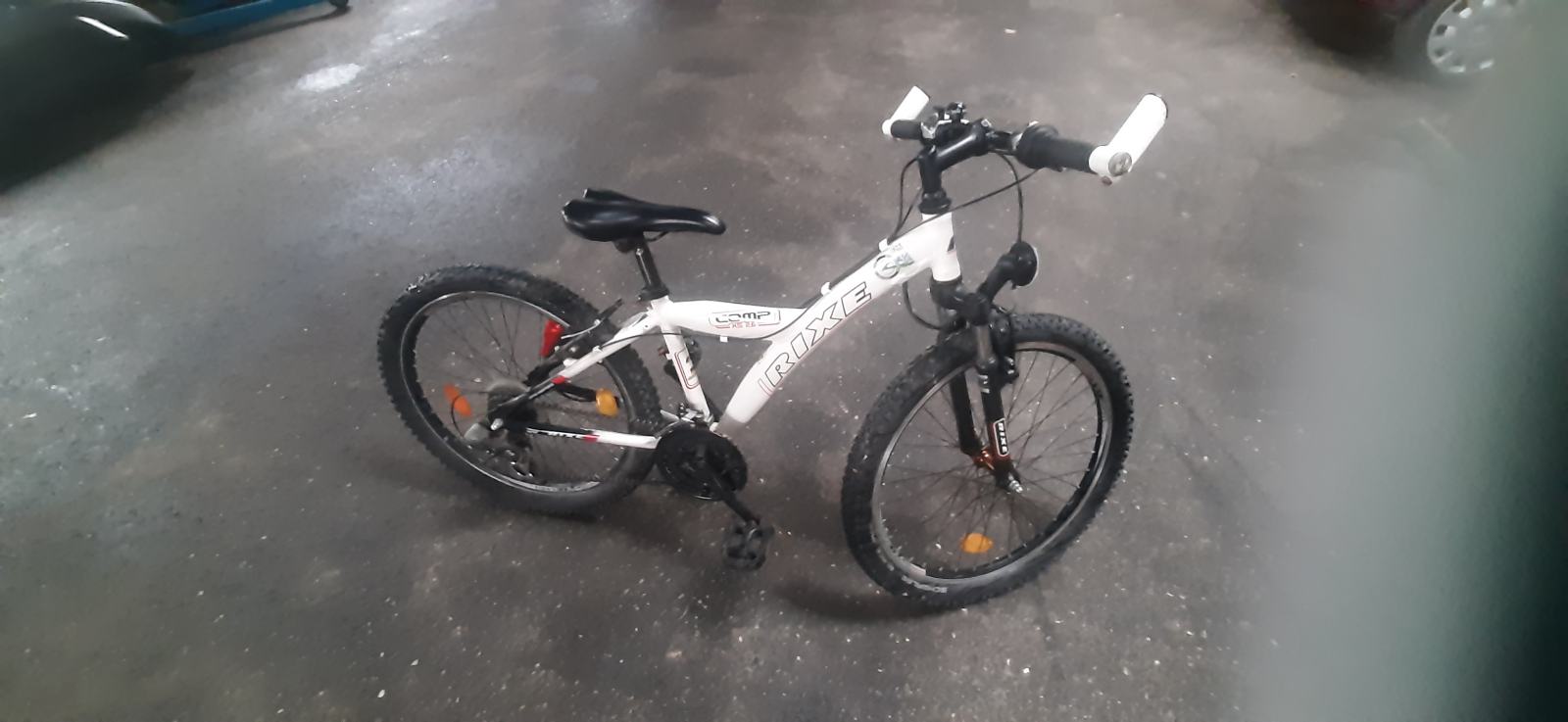 OTROŠKO, MLADINSKO KOLO, PONI