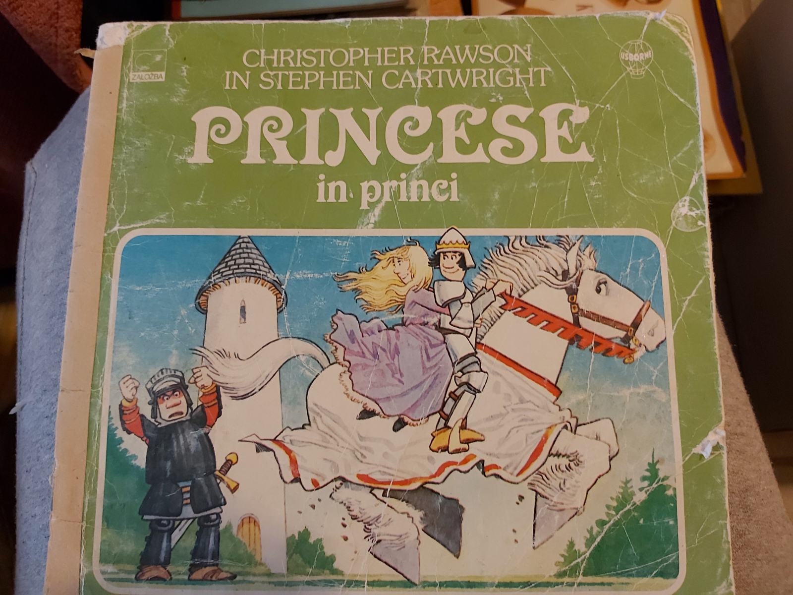 KNJIGA PRAVLJIC PRINCESE IN PRINCI RAWSON CARTWRIGHT