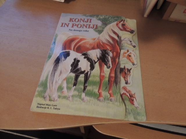 KONJI IN PONIJI NA DOSEGU ROKE M. GAVE ZALOŽBA IEO 1998