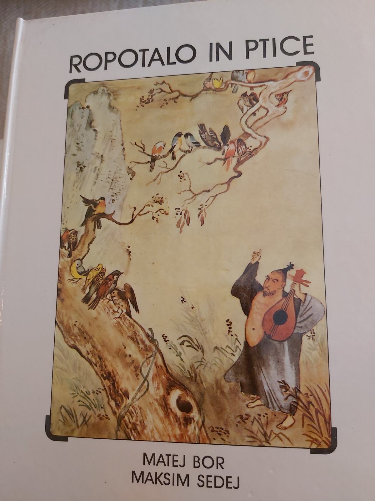 MATEJ BOR ROPOTALO IN PTICE