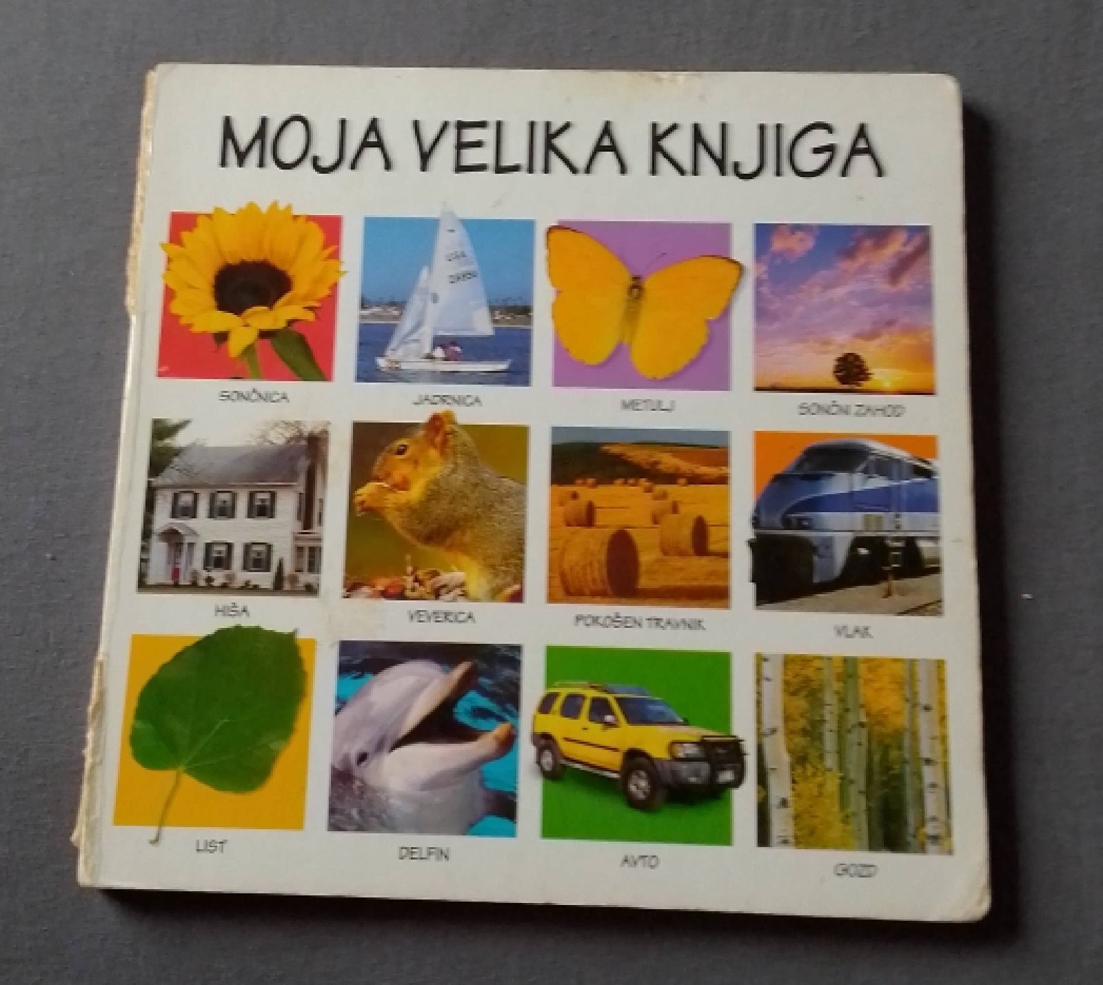 Moja velika knjiga