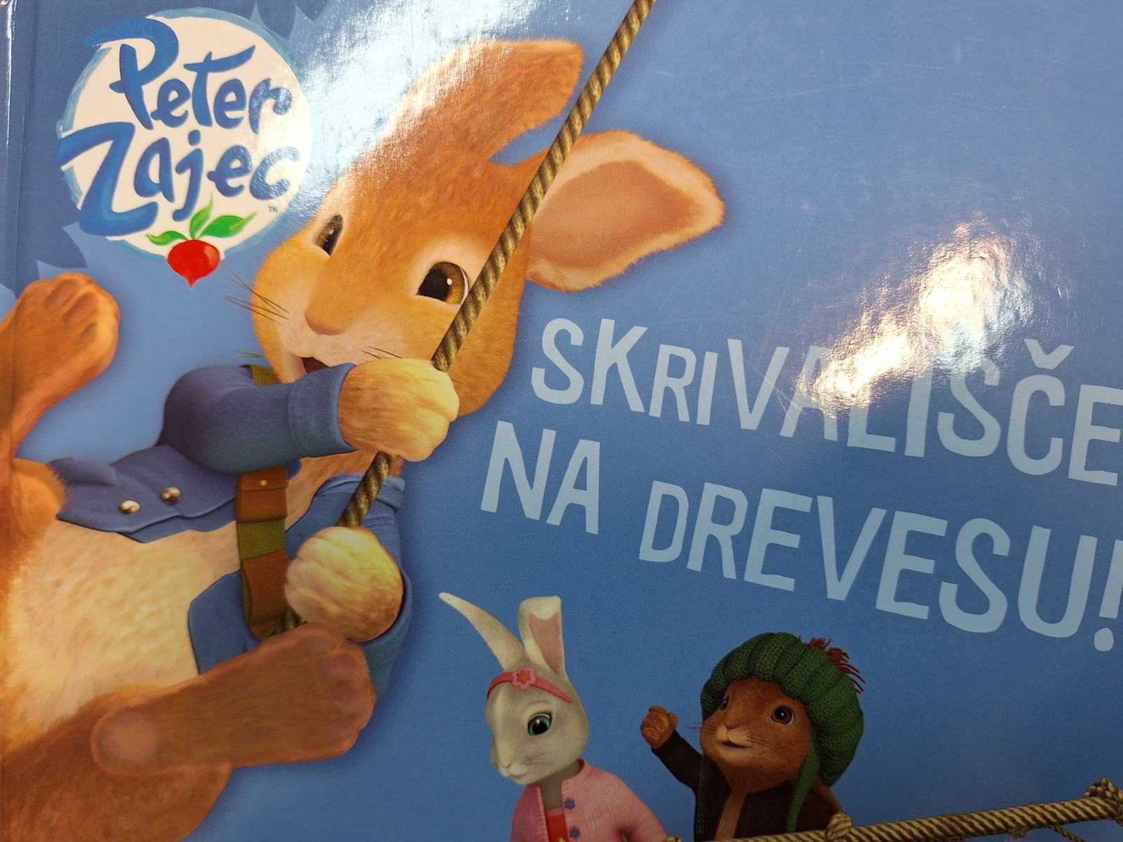 PETER ZAJEC SKRIVALIŠČE NA DREVESU!
