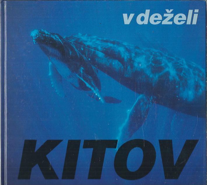 V deželi kitov / Cynthia DVincent,