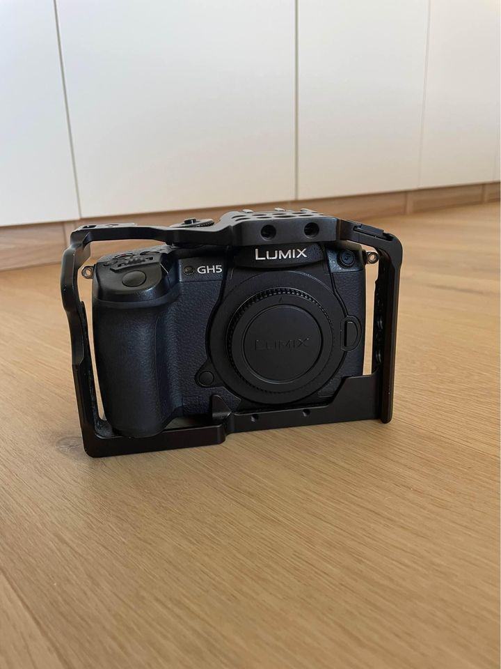 Panasonic Lumix Gh5 s small rig kletko