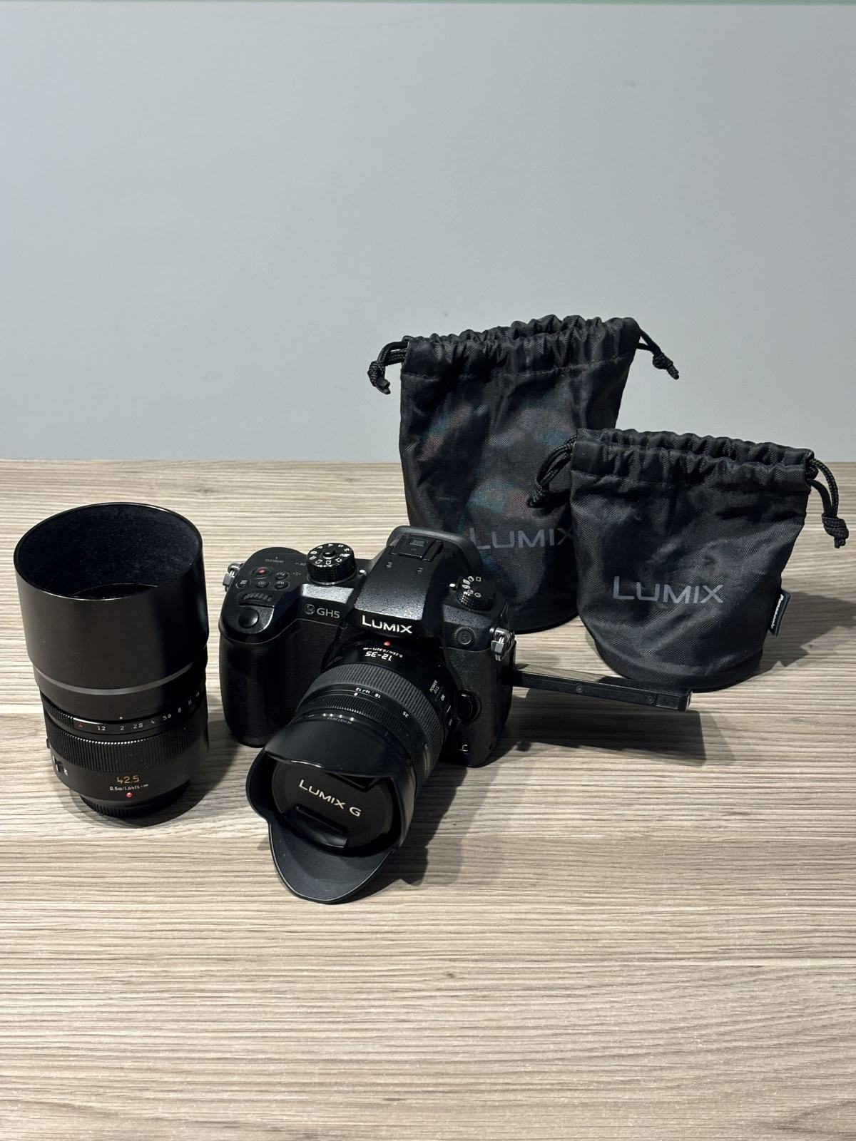 Lumix GH5 (Panasonic)