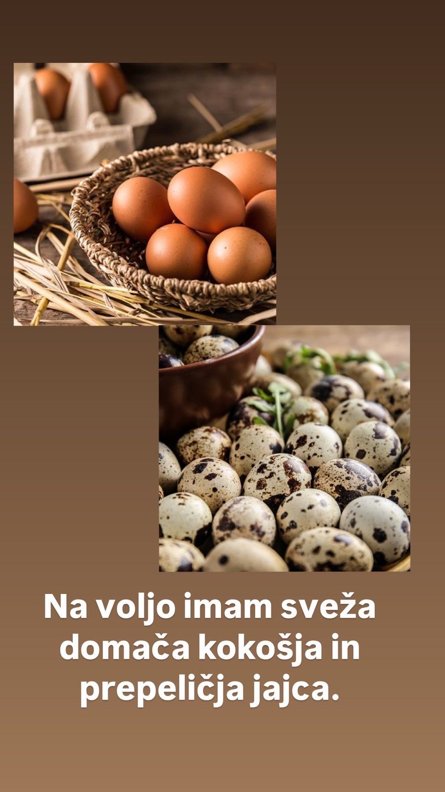DOMAČA KOKOŠJA IN PREPELIČJA JAJCA