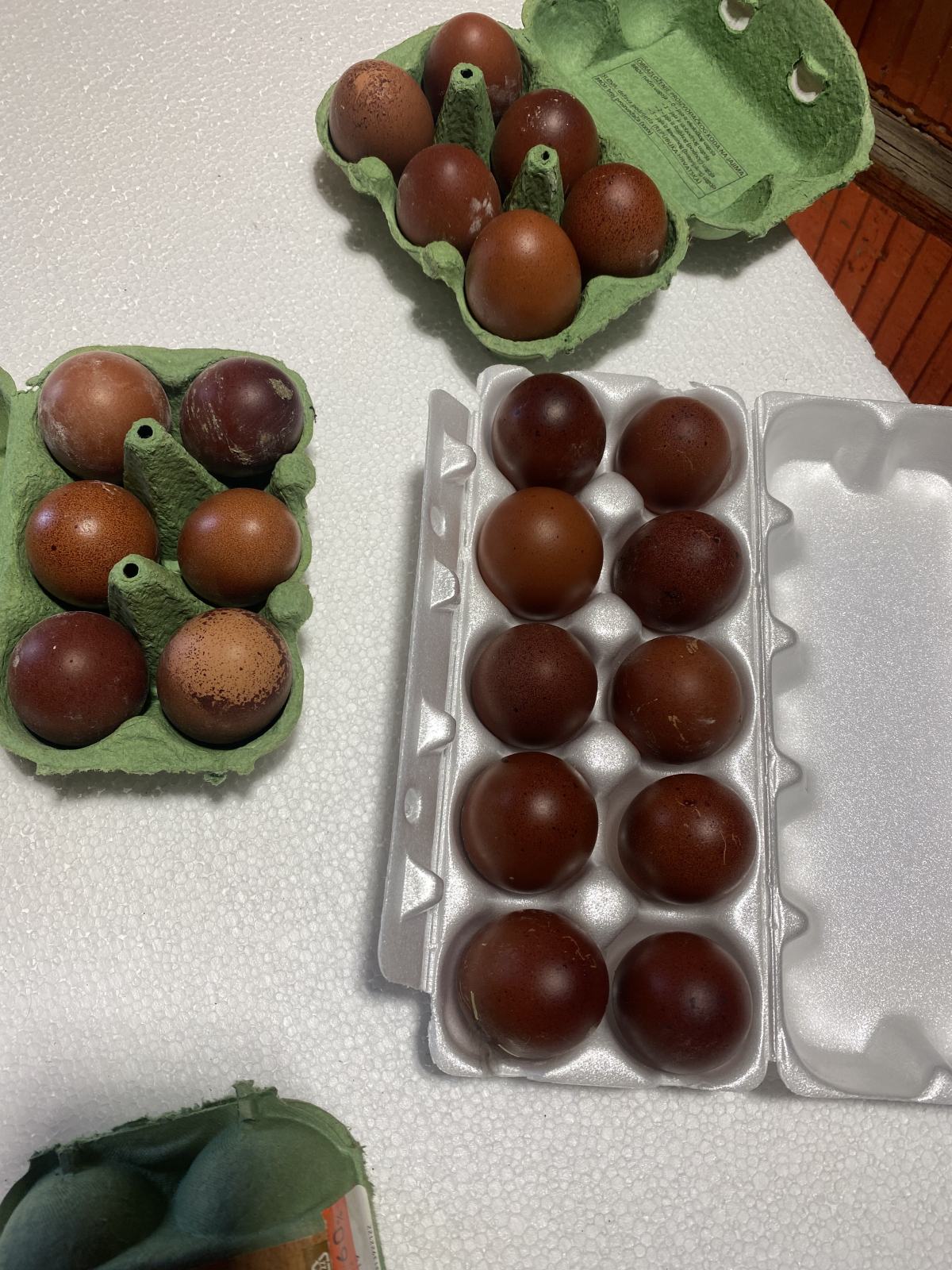 Marans valilna jajaca