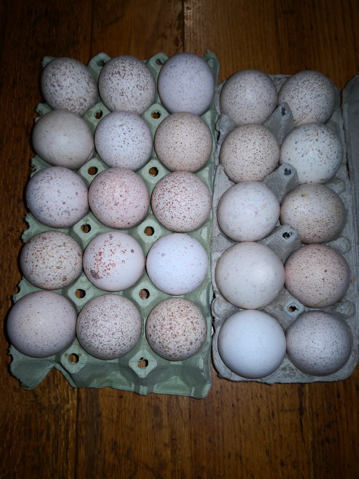 PURANJA JAJCA ZA VALITI