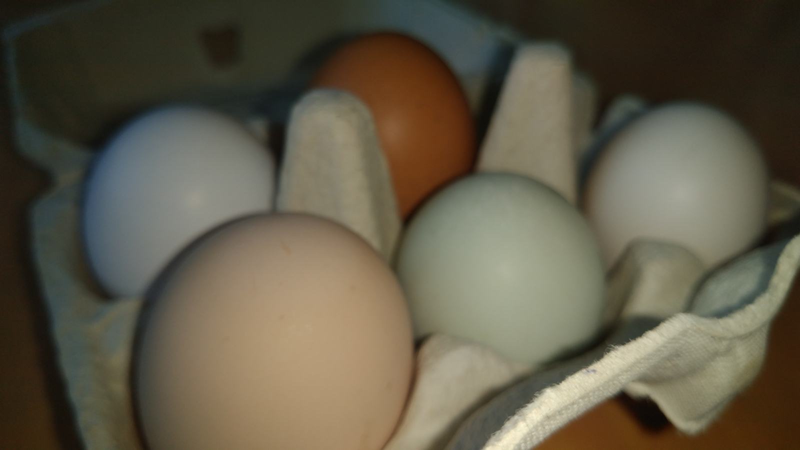 Valilna jajca pašniških kokoših