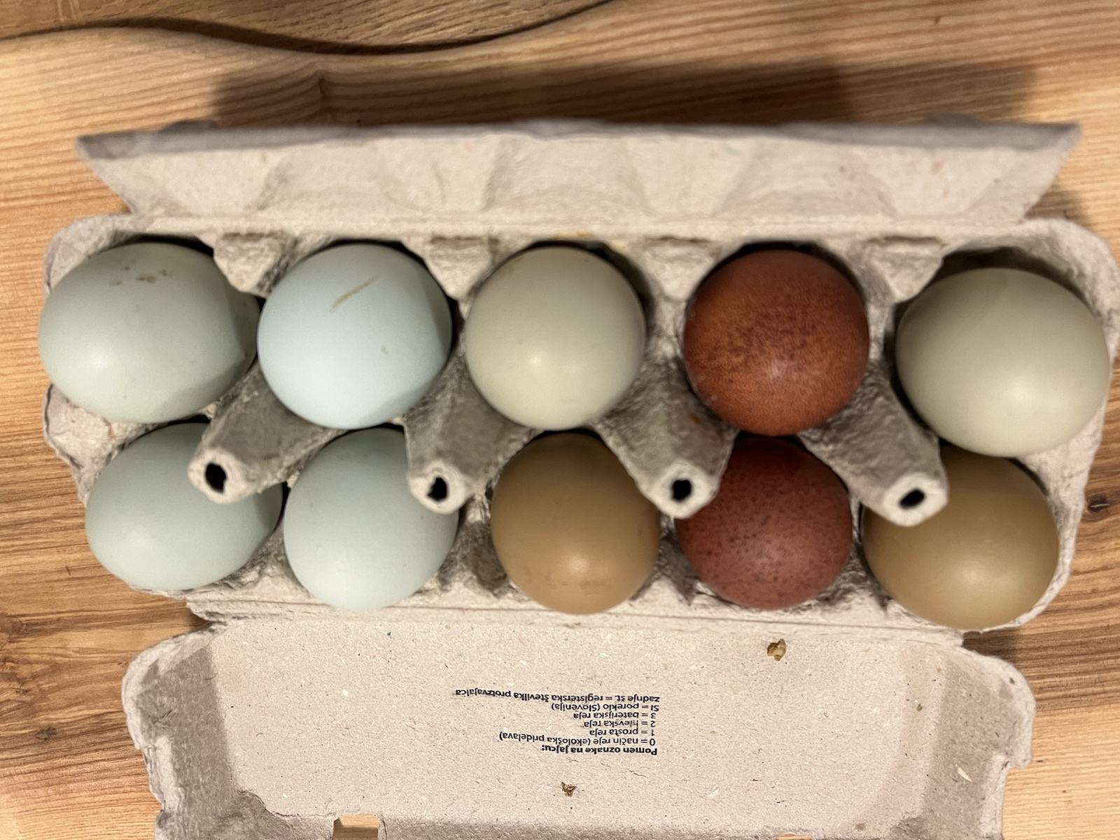 Valilna jajca kokoši green egger