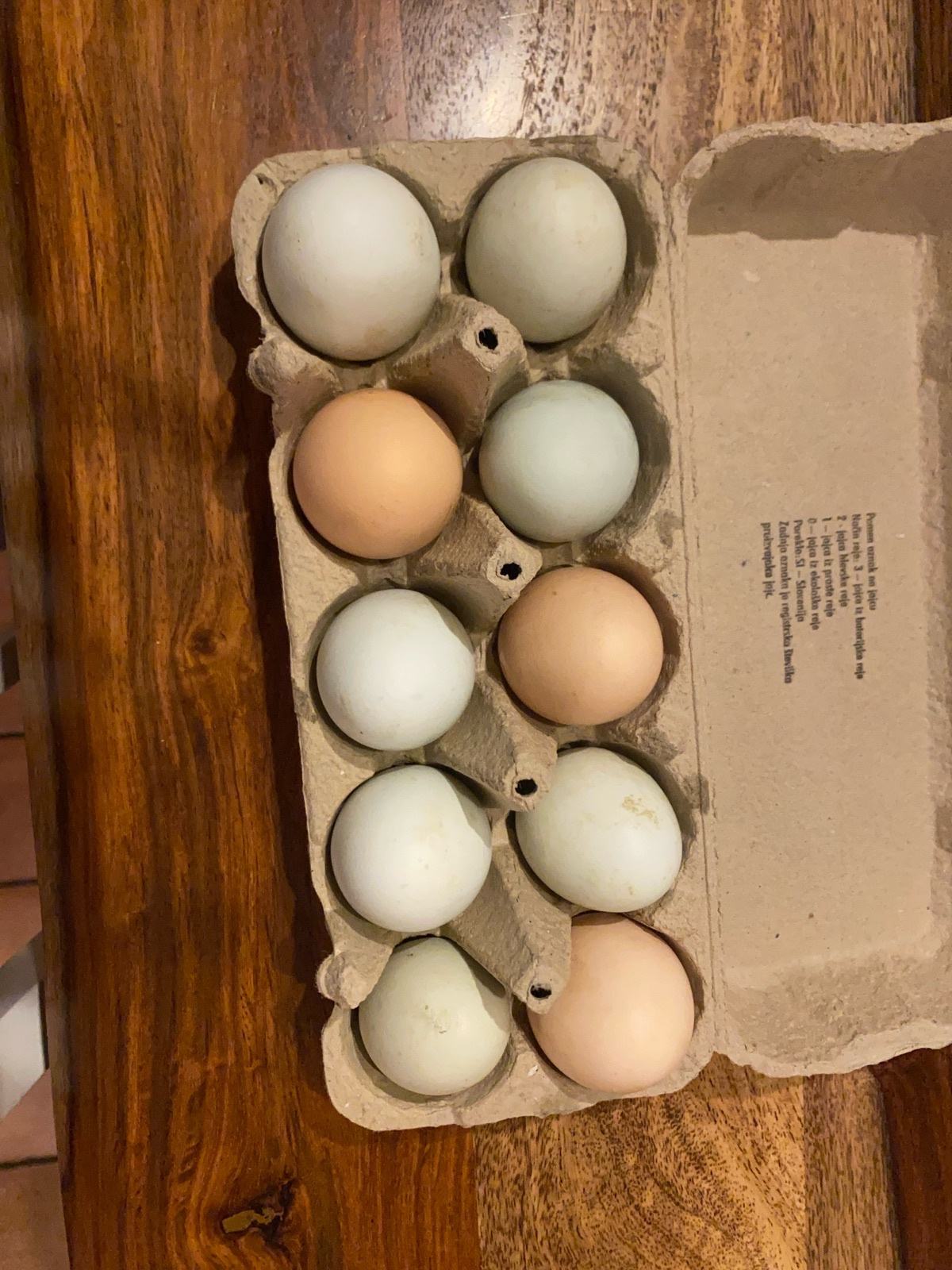 Valilna jajca kokoši nesnic